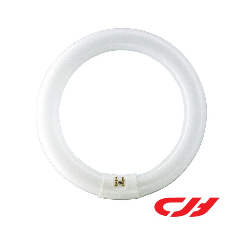 32W T9 CIRCULAR TUBE - Modern Electrical Supplies Ltd